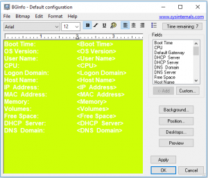 How to show the IP Address, DHCP Server entries using BGInfo utility ...