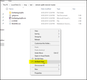 How to push project code from local machine (Using Git commands) into ...