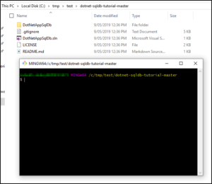 How to push project code from local machine (Using Git commands) into ...